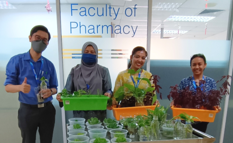 Sustainable SEGi: Embracing climate action with plants! – SEGi University